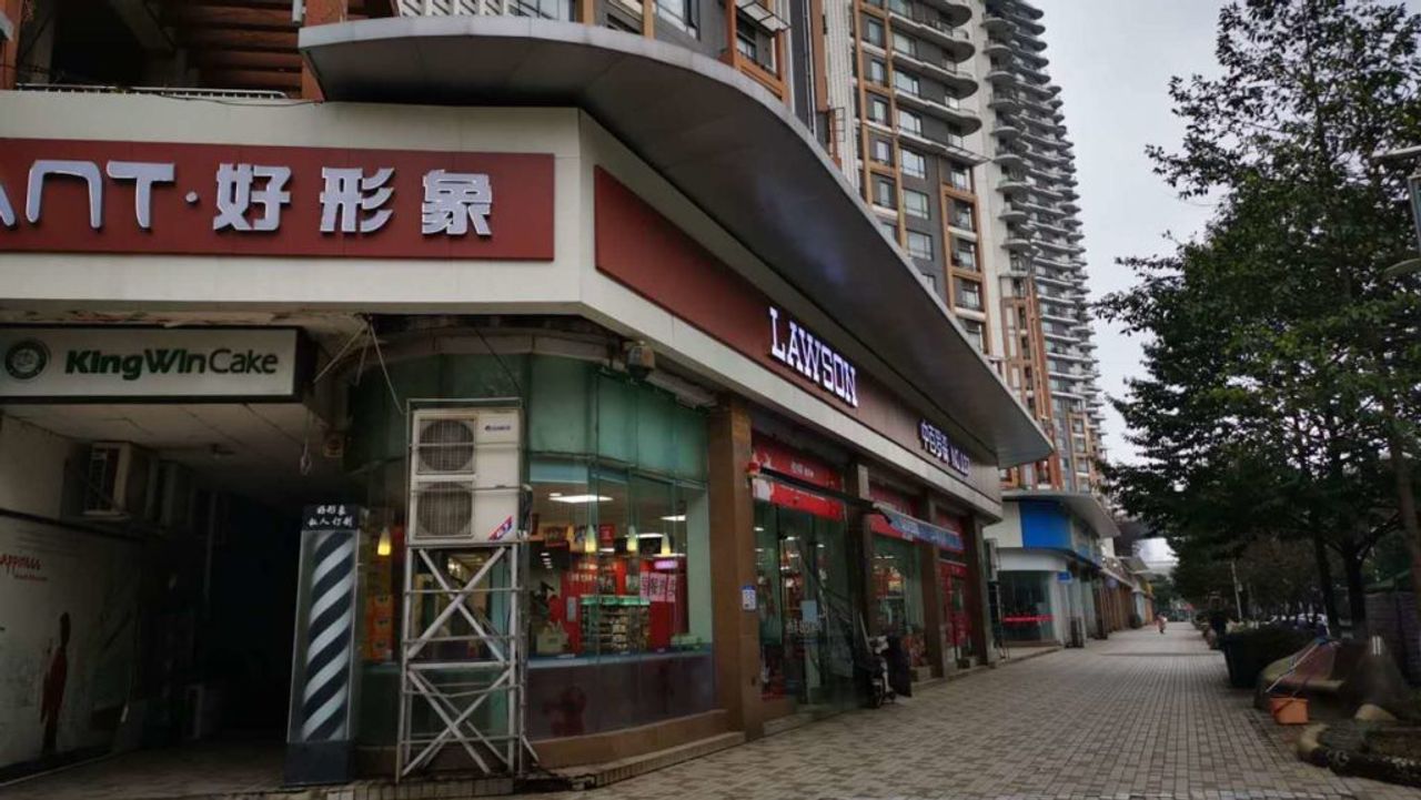 Wuhan under lockdown: Life in the center of the Corona pandemic